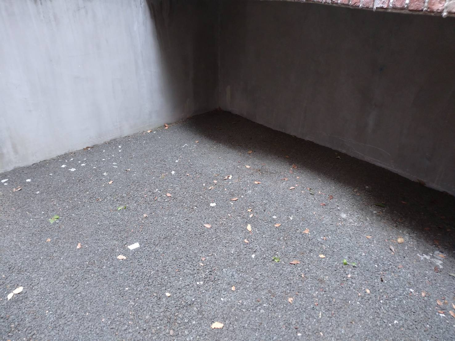週一回のマンション清掃 川崎市中原区 川崎市・横浜市のマンション清掃業者 「株式会社アスター」